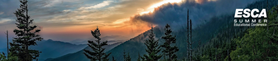 SEC 2020 Logo 2 (003) » ESCA